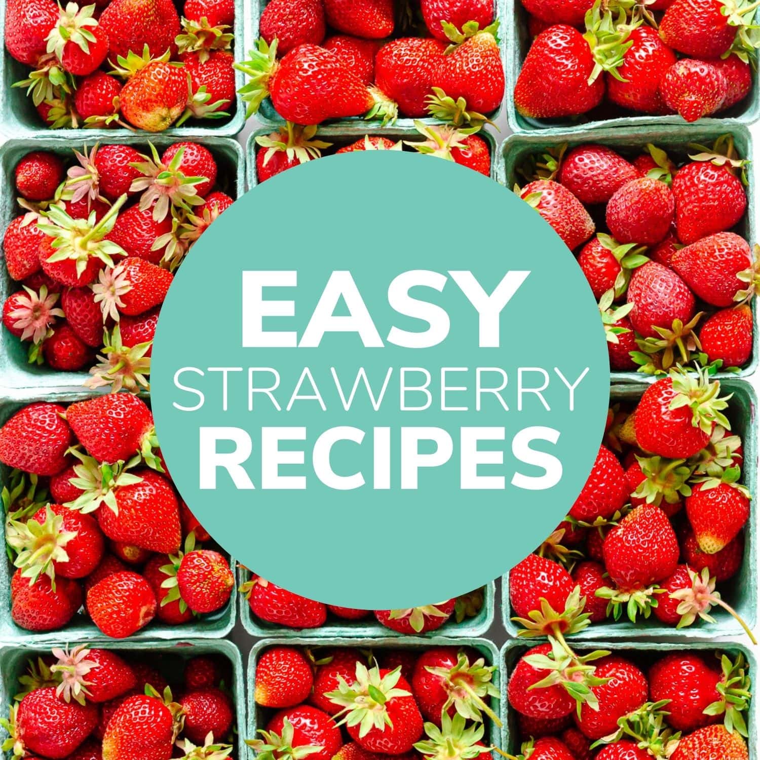 13 Easy Strawberry Recipes You Need To Make | Maple + Mango