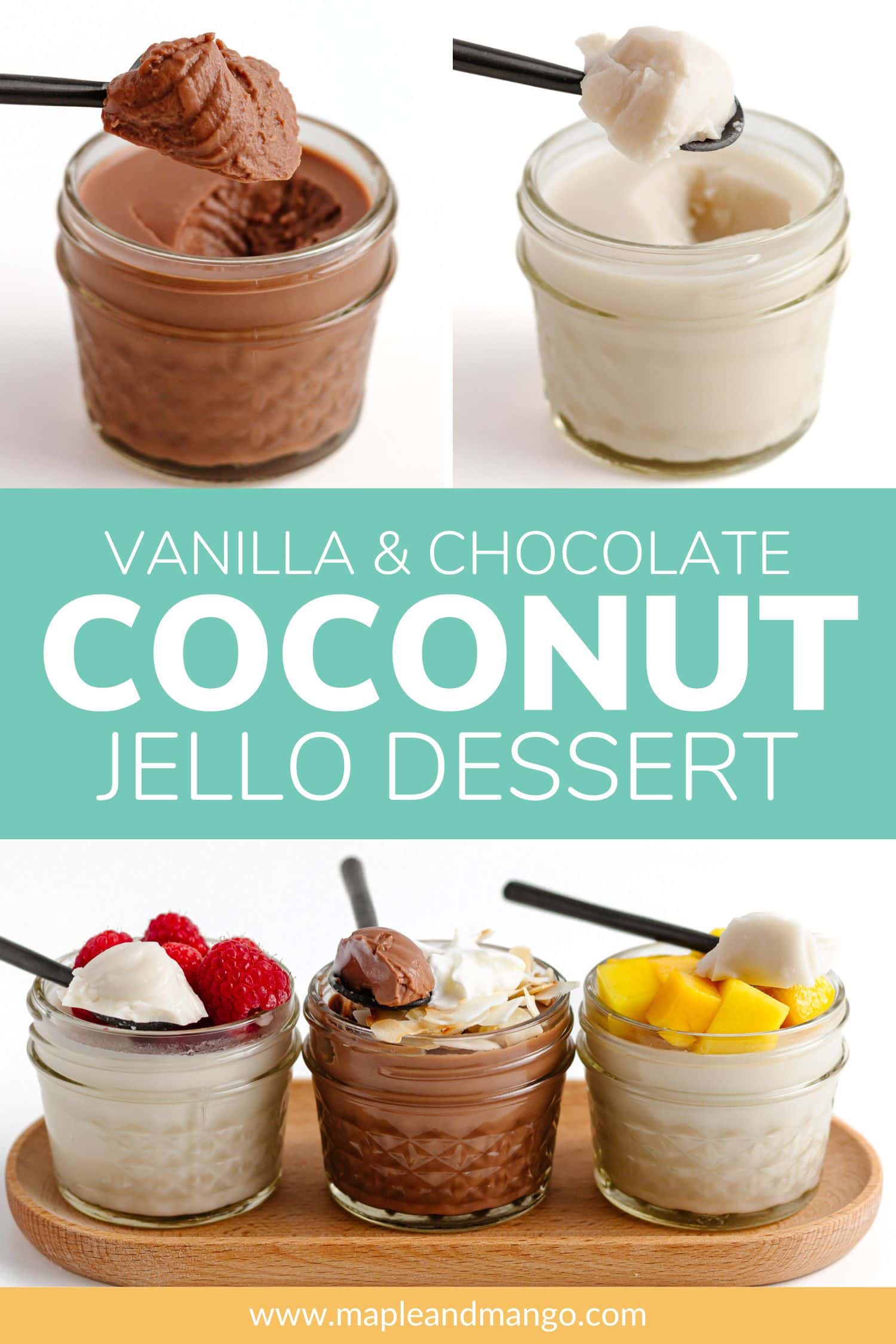 Coconut Jelly (Vanilla + Chocolate Flavors) | Maple + Mango
